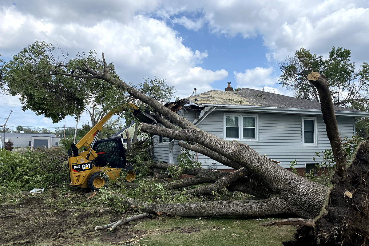 Tree Removal Service, Tree Stump Removal - Storm Damage Service